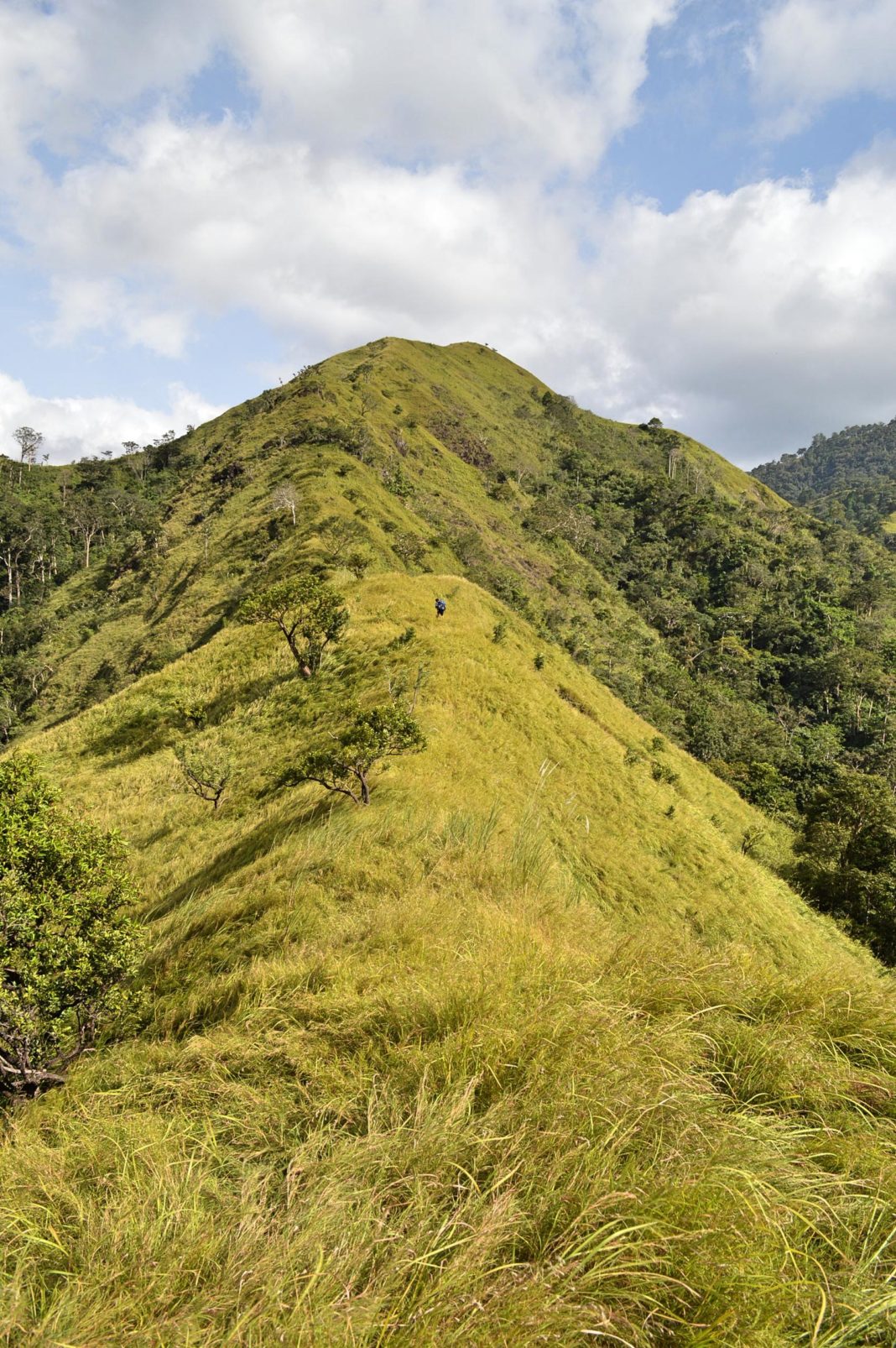 Mt. Sicapoo - Ilocos Norte's Ultimate Challenge - Rice and Fries